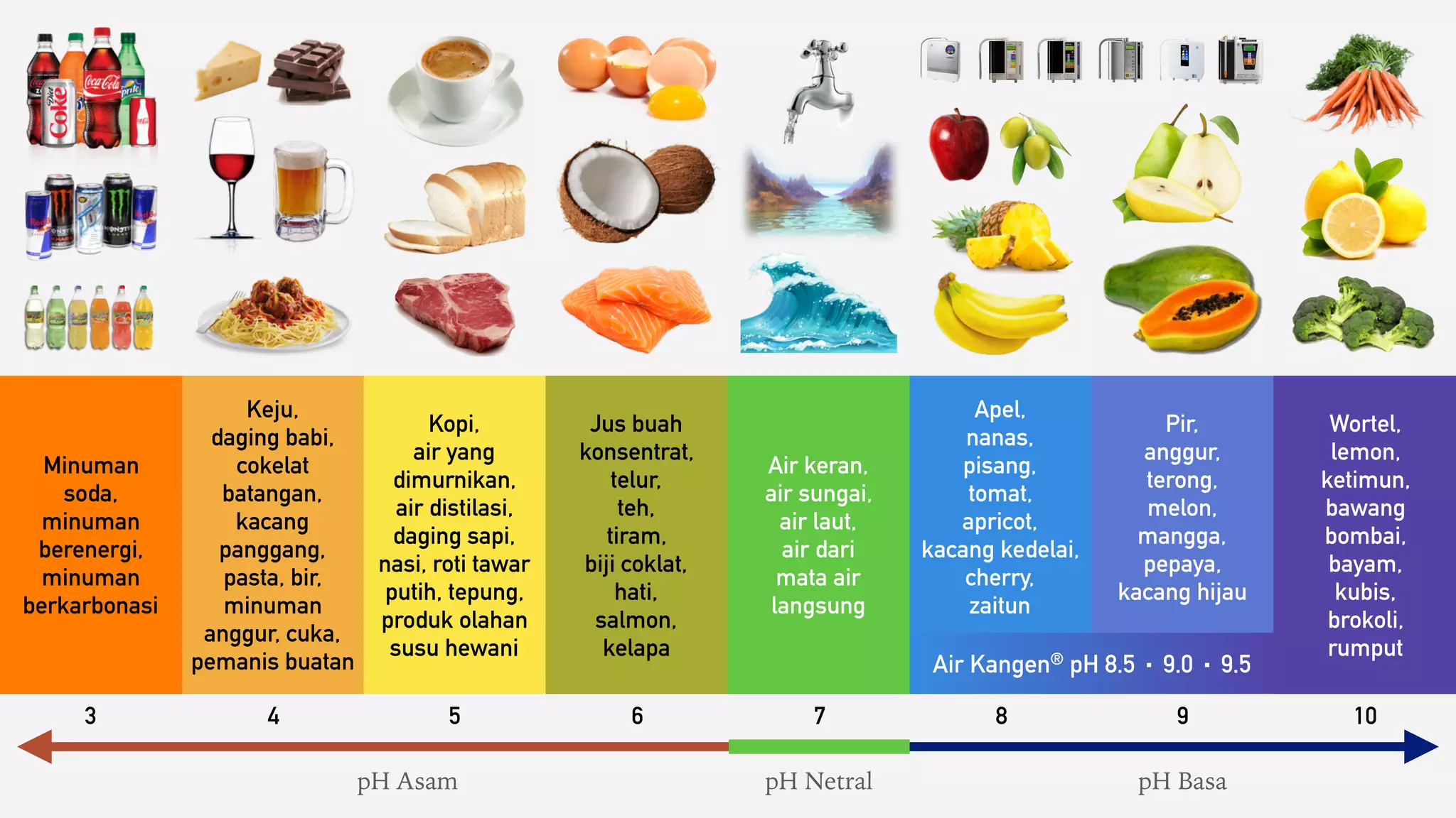 Kangen Water, Air Alkali, Antioksidan Tinggi, Micro Clustered | PDF
