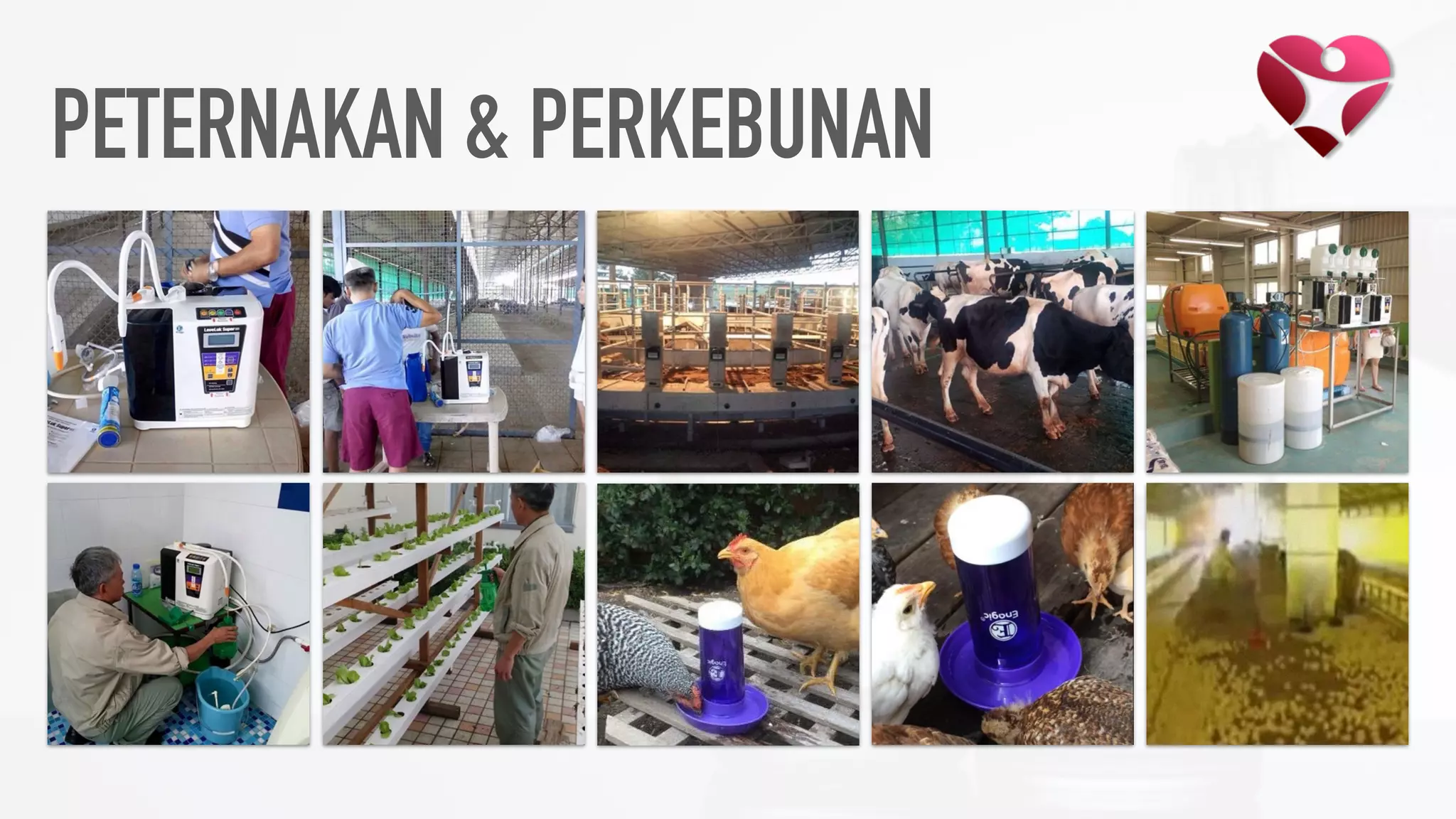 Kangen Water, Air Alkali, Antioksidan Tinggi, Micro Clustered | PDF