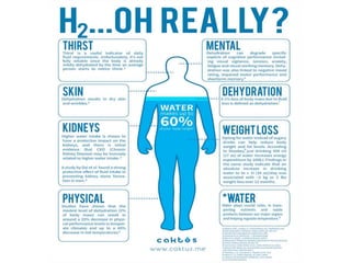 Wellness Intro. | PPT