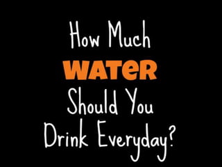 Wellness Intro. | PPT