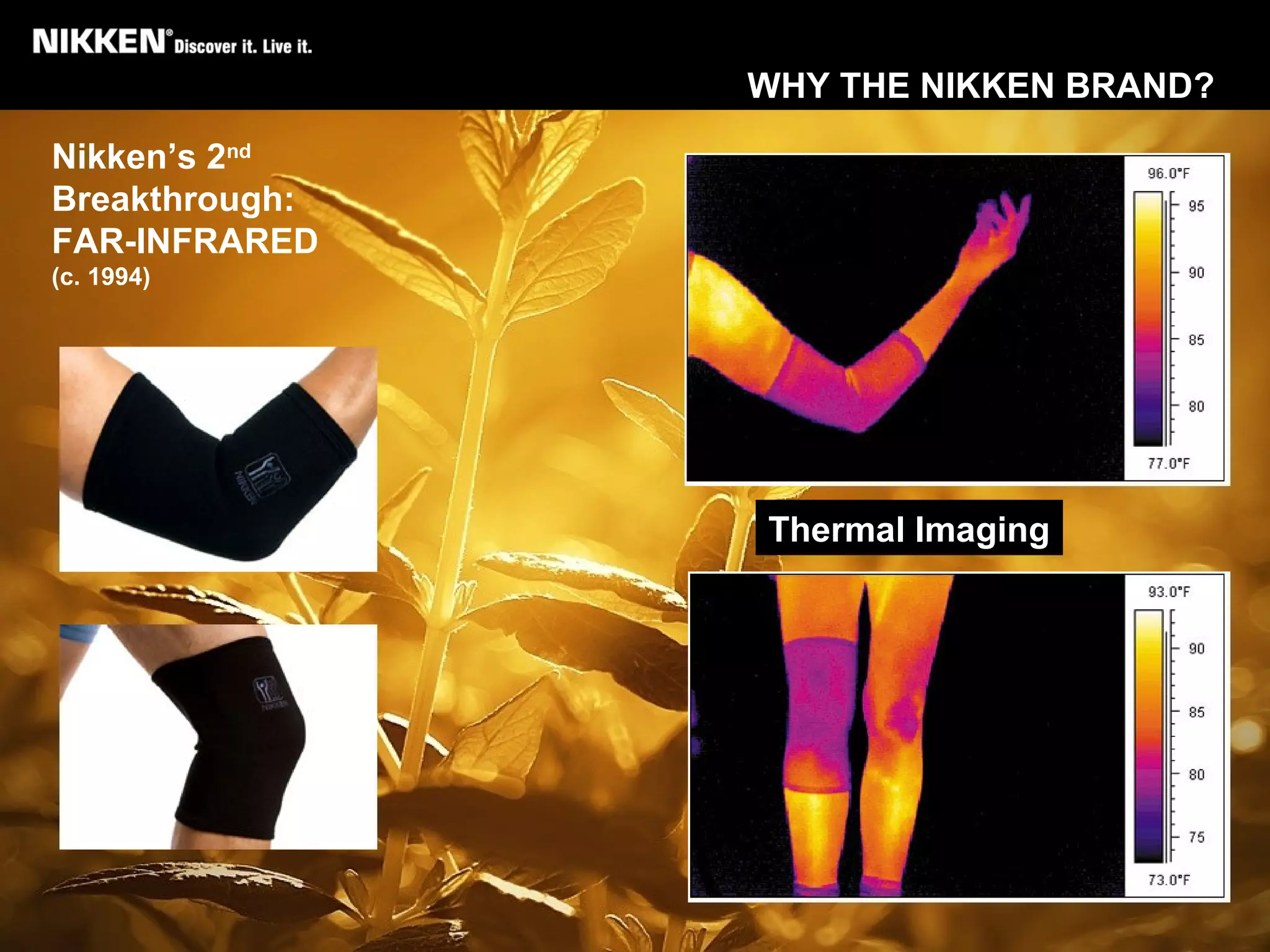 Nikken Wellness Home product and business overview | PPT