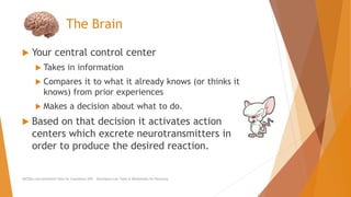 Understanding the Mind-Body Connection: The Interaction Between ...