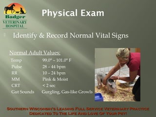 Equine Annual Exams & Wellness plans | PPT