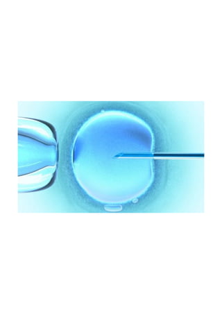 WellSpring IVF & Women's Hospital | PDF