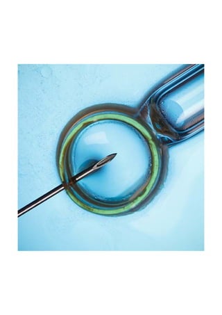 WellSpring IVF & Women's Hospital | PDF