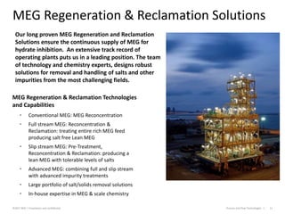 Wellstream Processing sales presentation | PPTX