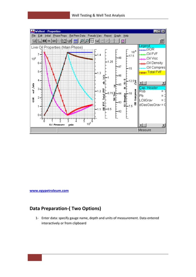 Well test analysis | PDF | Computer Software and Applications | Computing