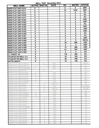 Well testing report | PDF