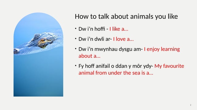 Welsh animals lesson learning names of animals in Welsh | PPT
