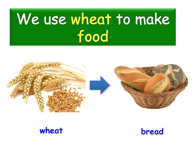 We make different things | PPT | Gardening | Home & Garden