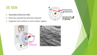 Introduction to microscopy | PPTX