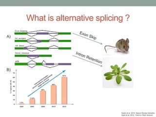 Wenbin Mei: The cause and consequence of alternative splicing in maize and across species | PDF ...