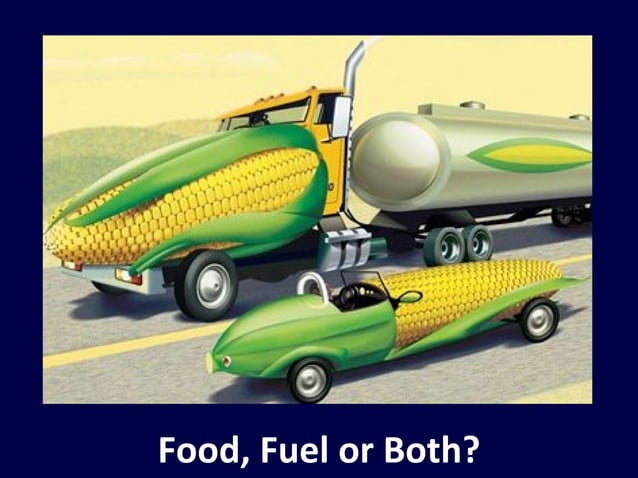 Cars vs. Corn (The Food vs. Fuel Debate) | PPT | Agriculture | Industries