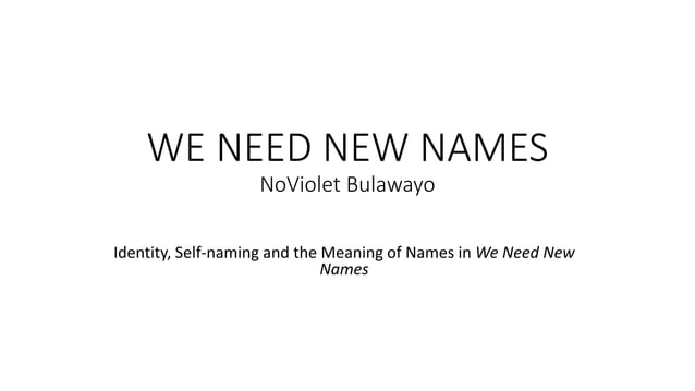 We Need New Names - NoViolet Bulawayo | PDF