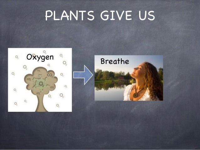 We need plants