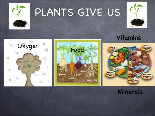 We need plants