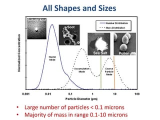 Urban and Rural Sources of Particulate Matter | PDF