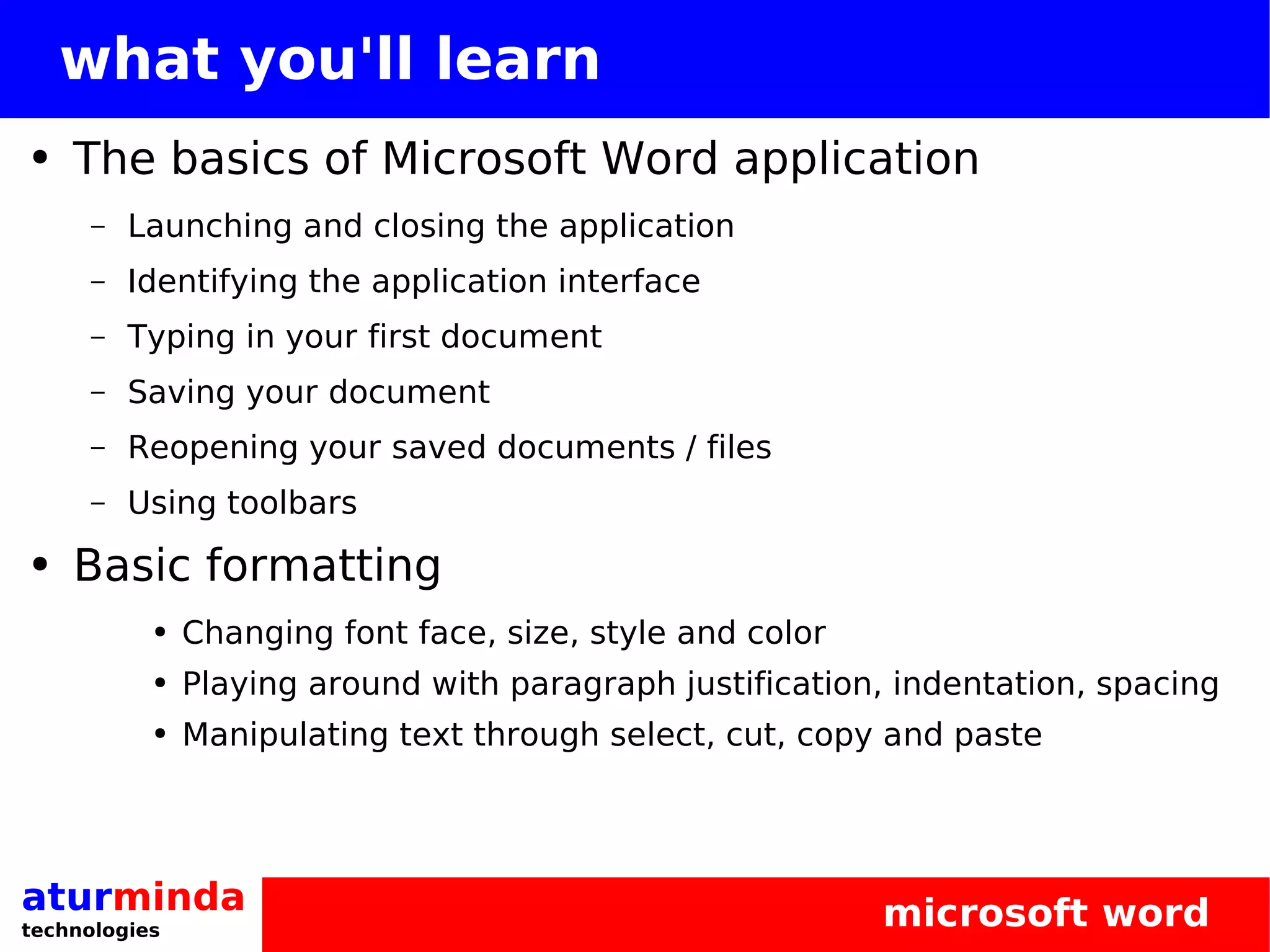 Microsoft Office Word Basics Training | PDF