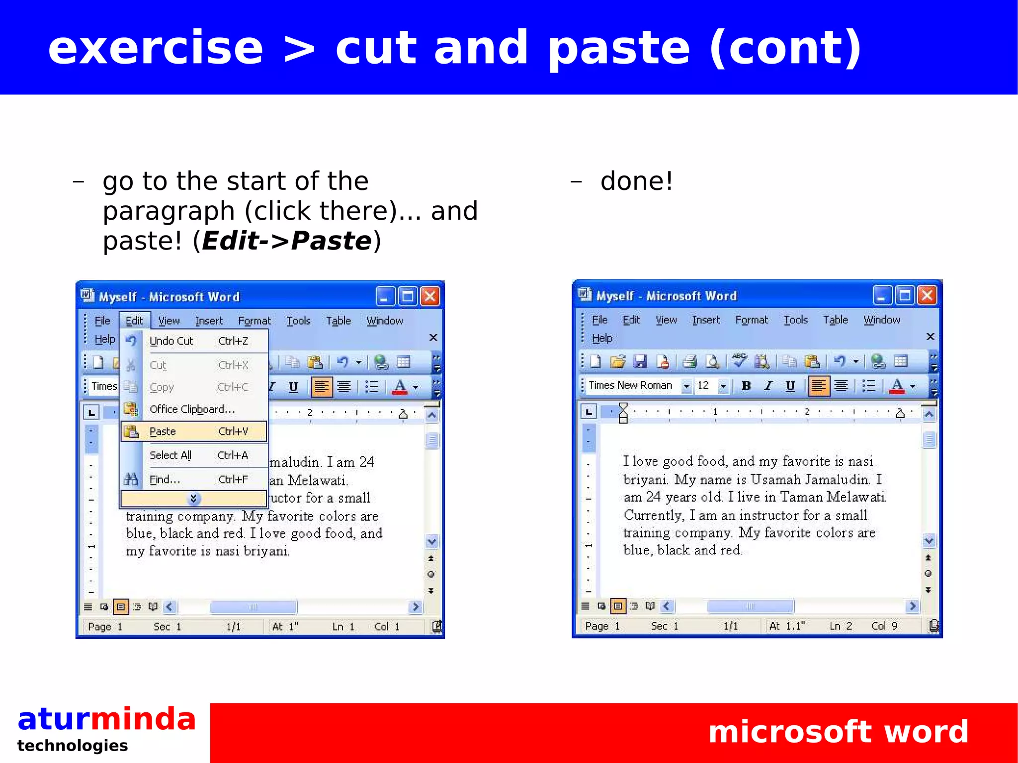Microsoft Office Word Basics Training | PDF