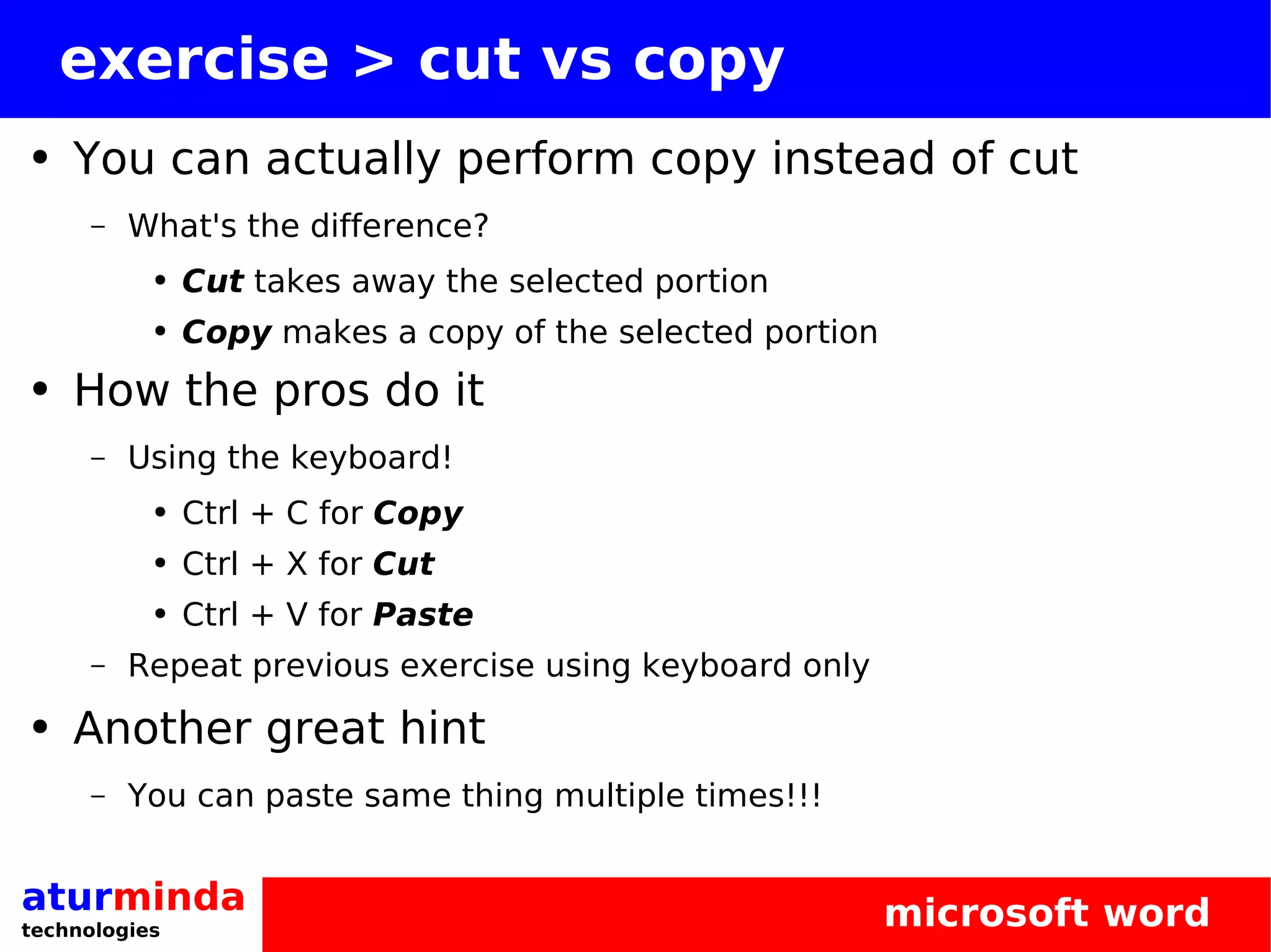 Microsoft Office Word Basics Training | PDF