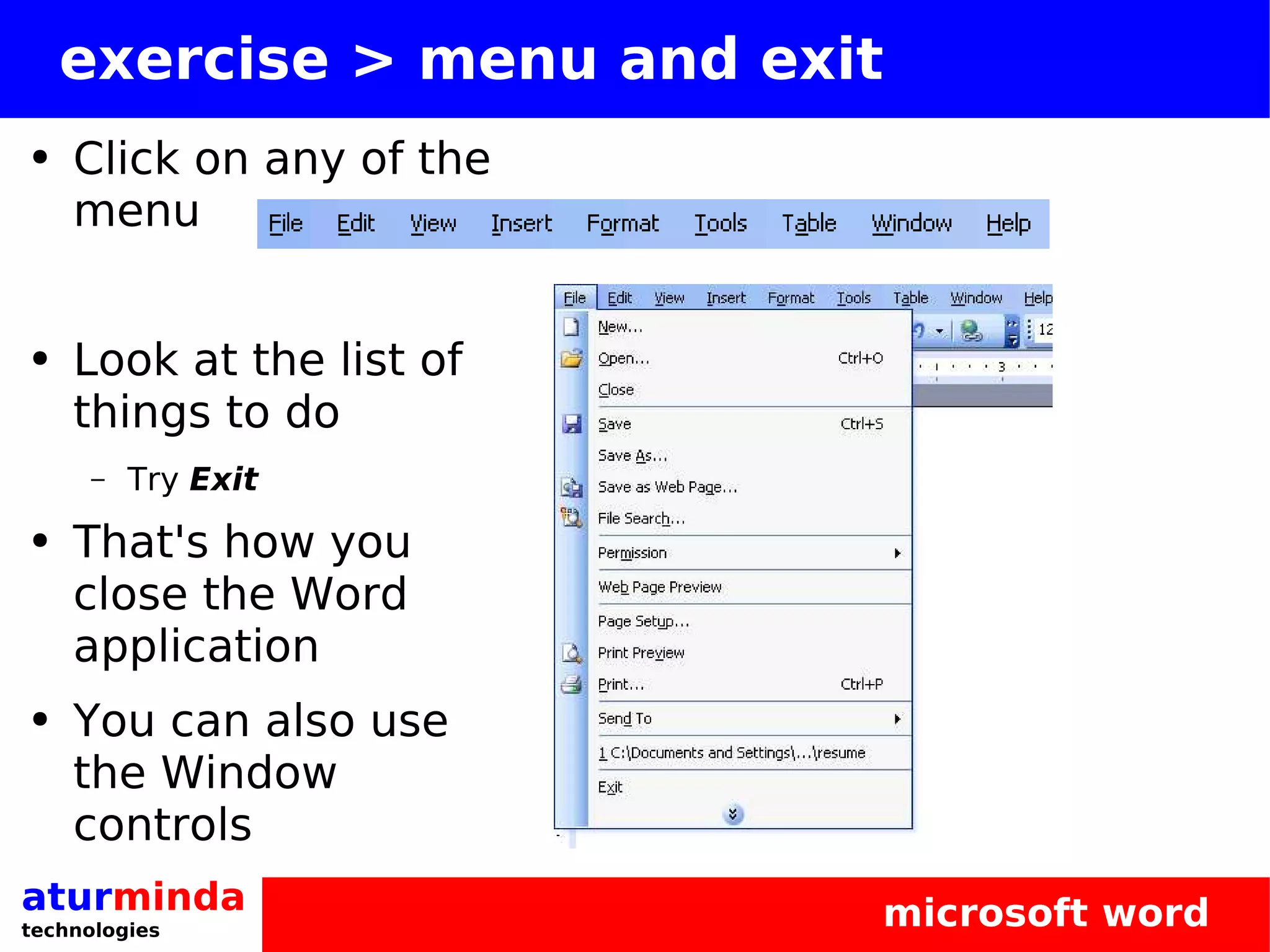Microsoft Office Word Basics Training | PDF