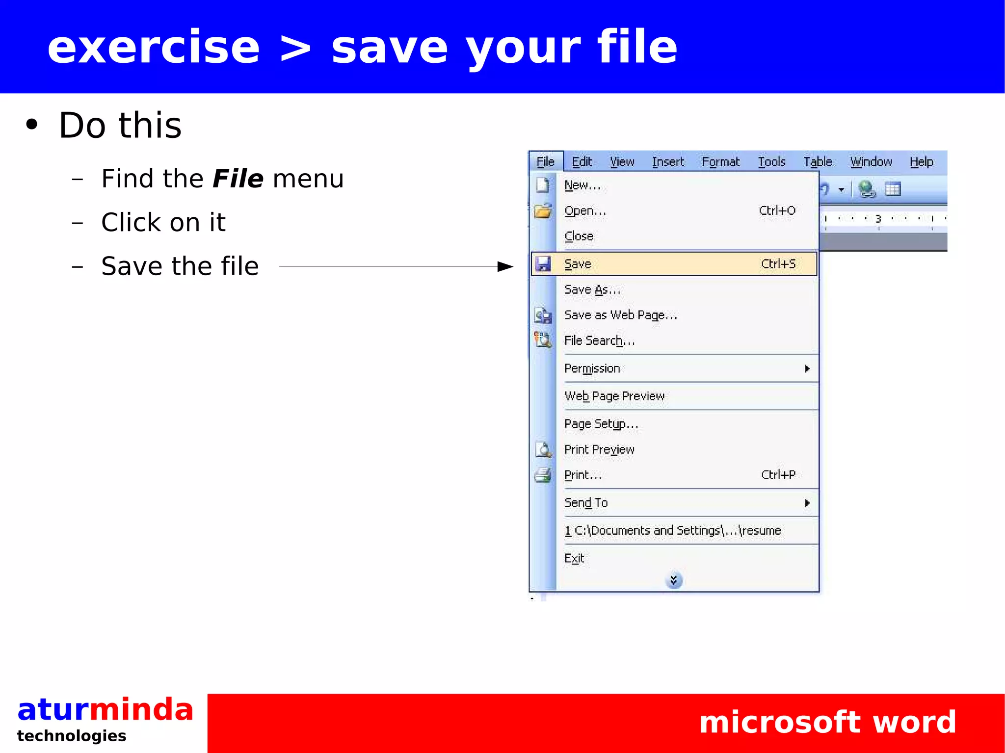 Microsoft Office Word Basics Training | PDF