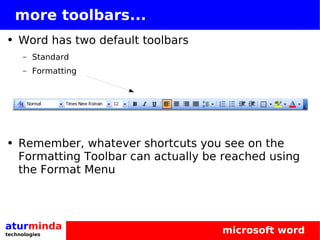 Microsoft Office Word Basics Training | PDF