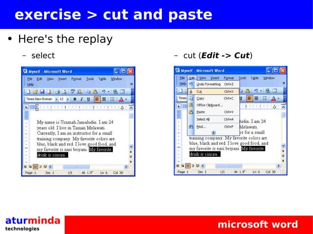 Microsoft Office Word Basics Training | PDF | Operating Systems ...