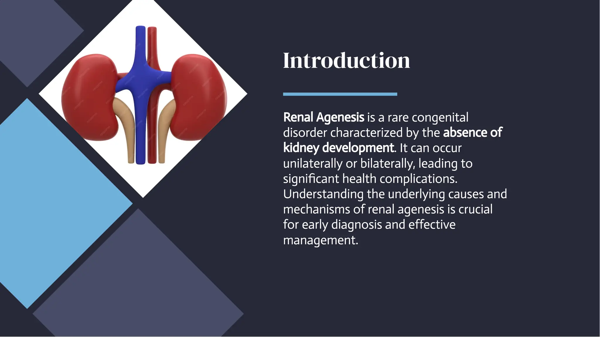 wepik-2023-9-2-20-58-54-Renal-Agenesis:-Understanding-the-Absence-of ...