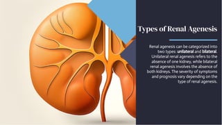 wepik-2023-9-2-20-58-54-Renal-Agenesis:-Understanding-the-Absence-of ...