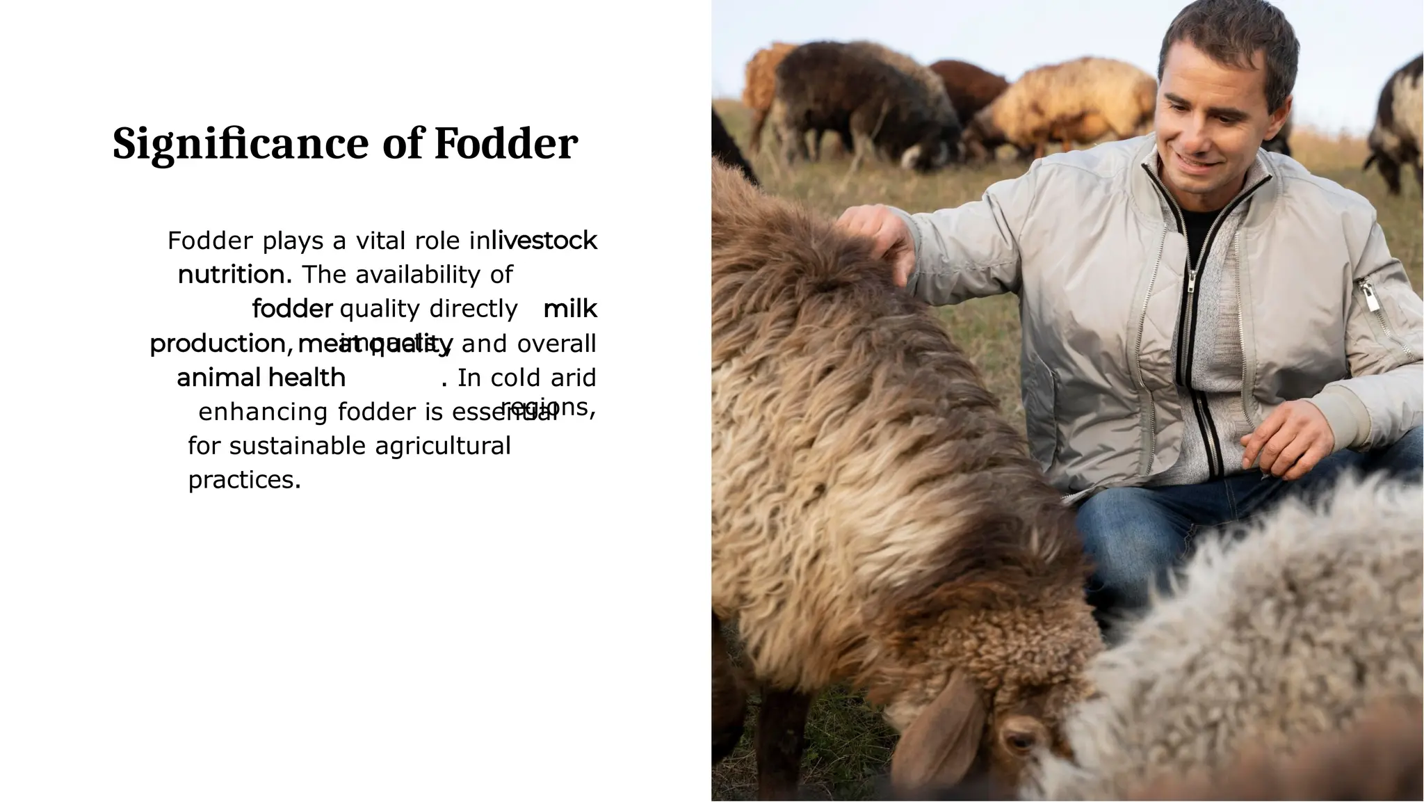 Advancements-in-grass-and-legume-varieties-for-enhanced-fodder-production-in-cold-arid-regions | PPT