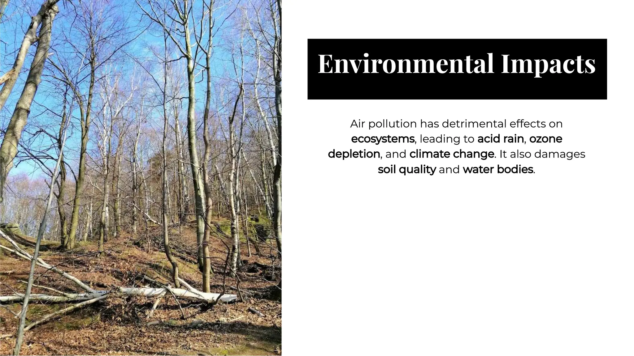 wepik-air-pollution-understanding-the-causes-impacts-and-solutions ...