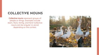 Noun and types power point presentation. | PDF