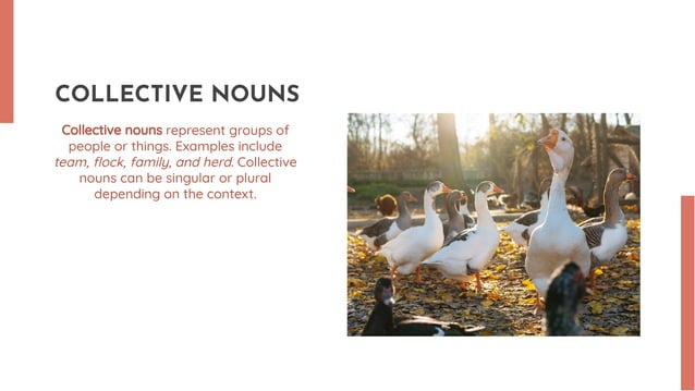 Noun and types power point presentation. | PPT