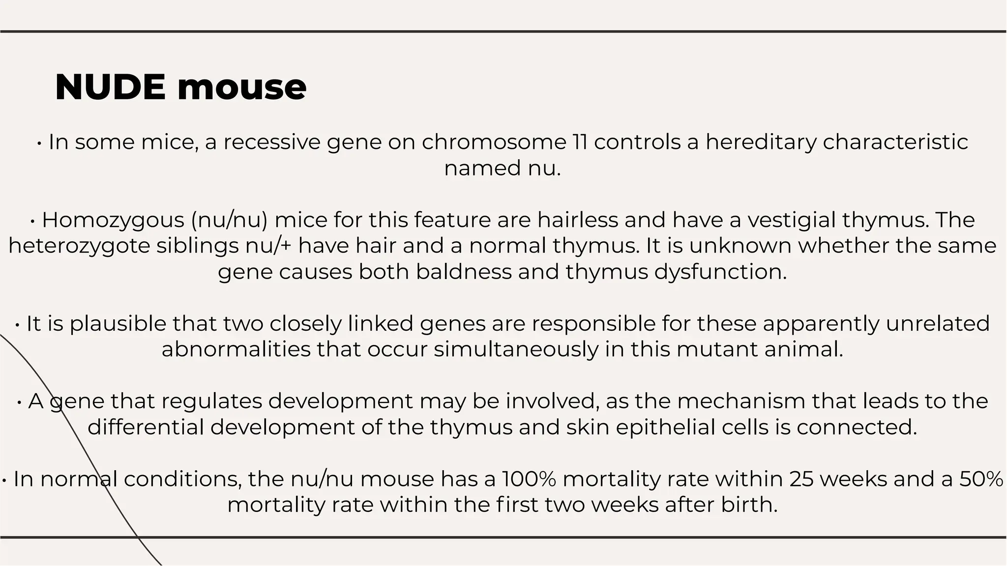 wepik-exploring-the-nude-mouse-an-animal-model-for-primary ...