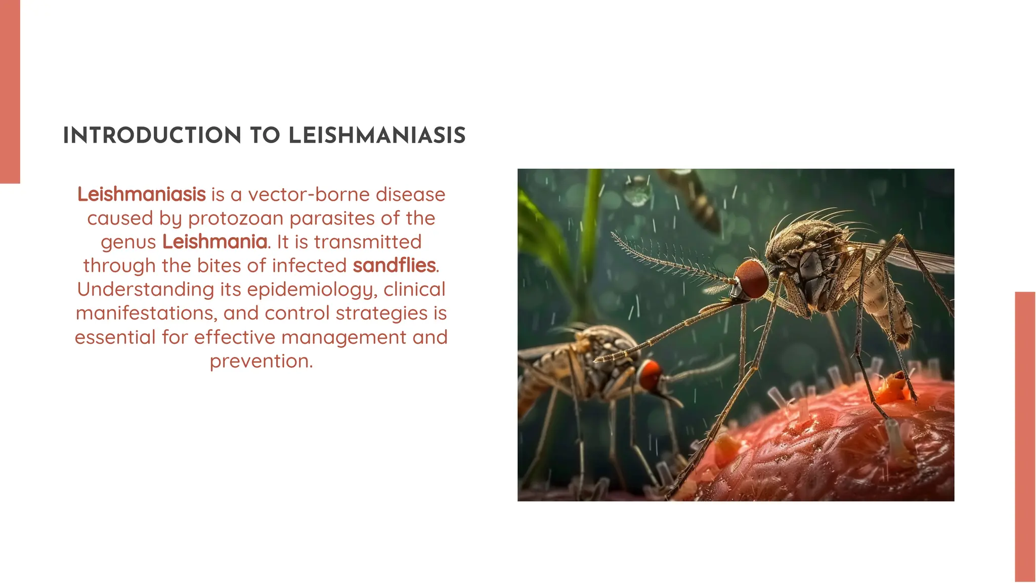 Leishmaniasis - Types, causes, prevention | PPT