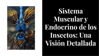 wepik-sistema-muscular-y-endocrino-de-los-insectos-una-vision-detallada ...