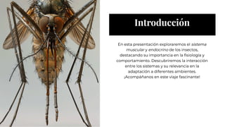 wepik-sistema-muscular-y-endocrino-de-los-insectos-una-vision-detallada ...