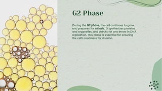 wepik-the-dance-of-life-understanding-the-cell-cycle-20240303041950dNW6.pdf