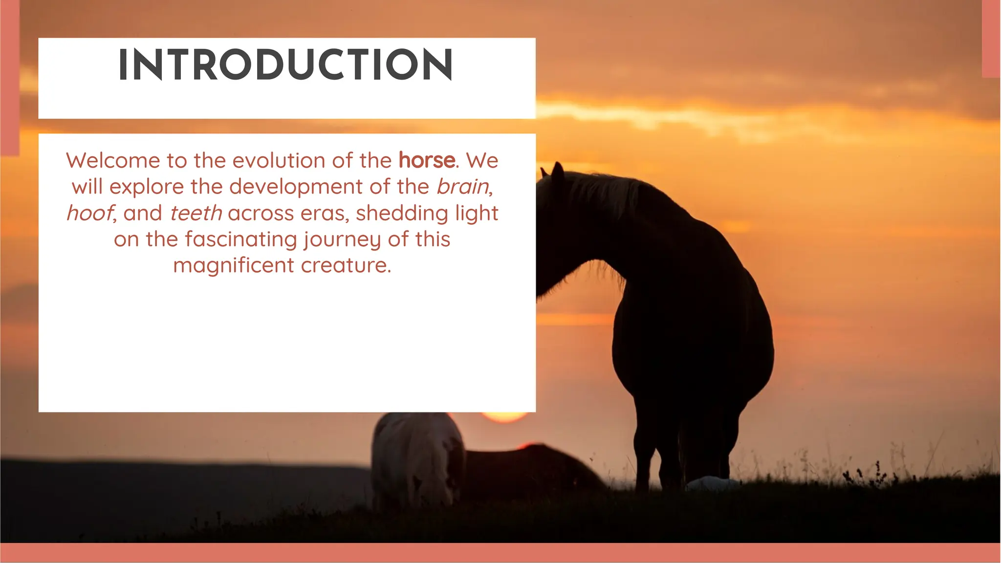 Evolution of horse (brain teeth and hoofs) | PPT