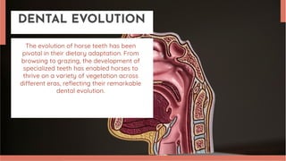 Evolution of horse (brain teeth and hoofs) | PDF