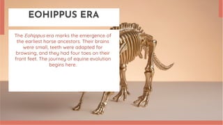 Evolution of horse (brain teeth and hoofs) | PDF
