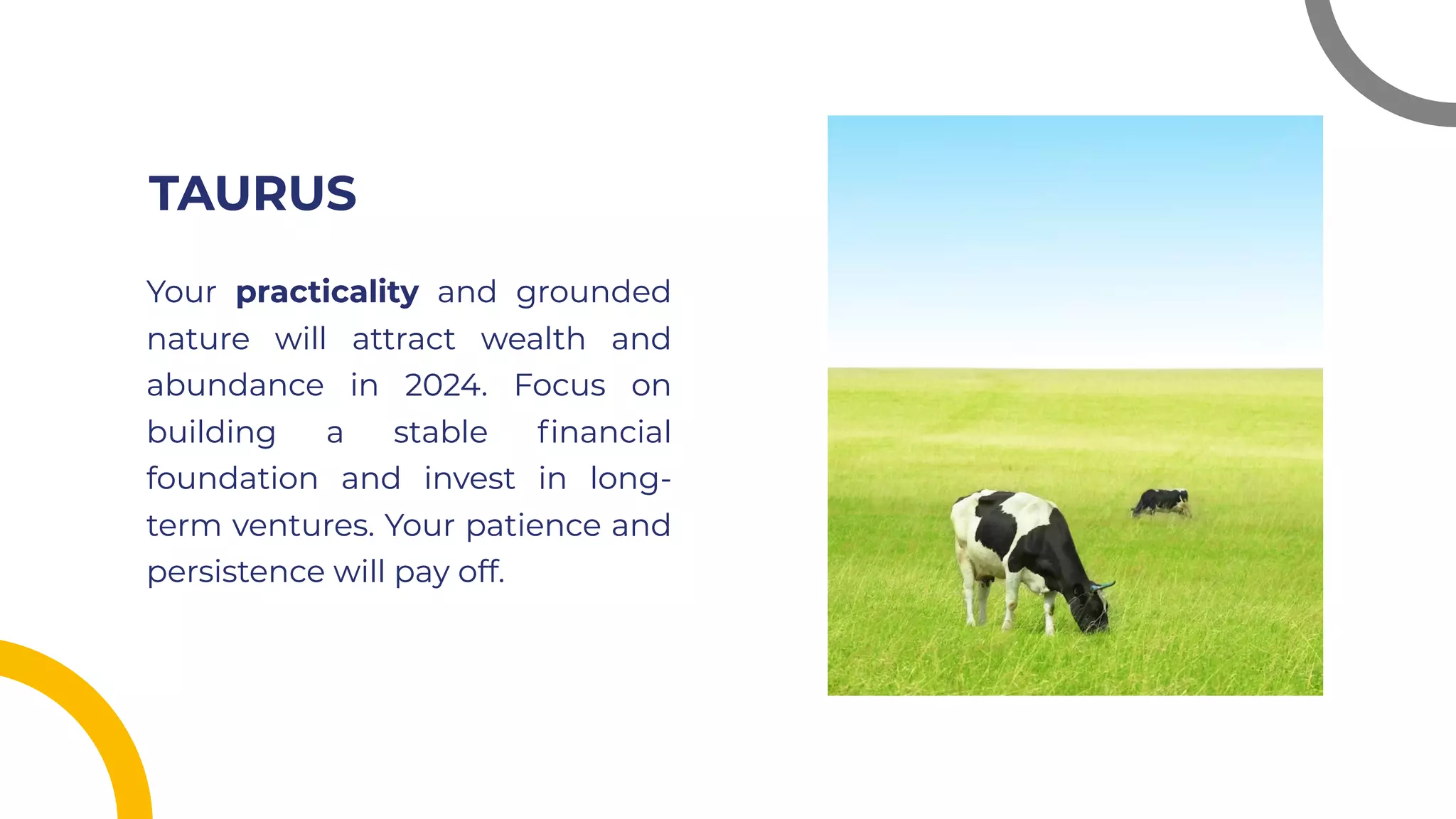 Zodic Signs That will Strike Rich in 2024 | PPT