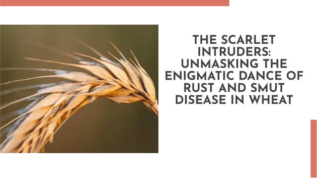 wepik-the-scarlet-intruders-unmasking-the-enigmatic-dance-of-rust-and-smut-disease-in-wheat ...