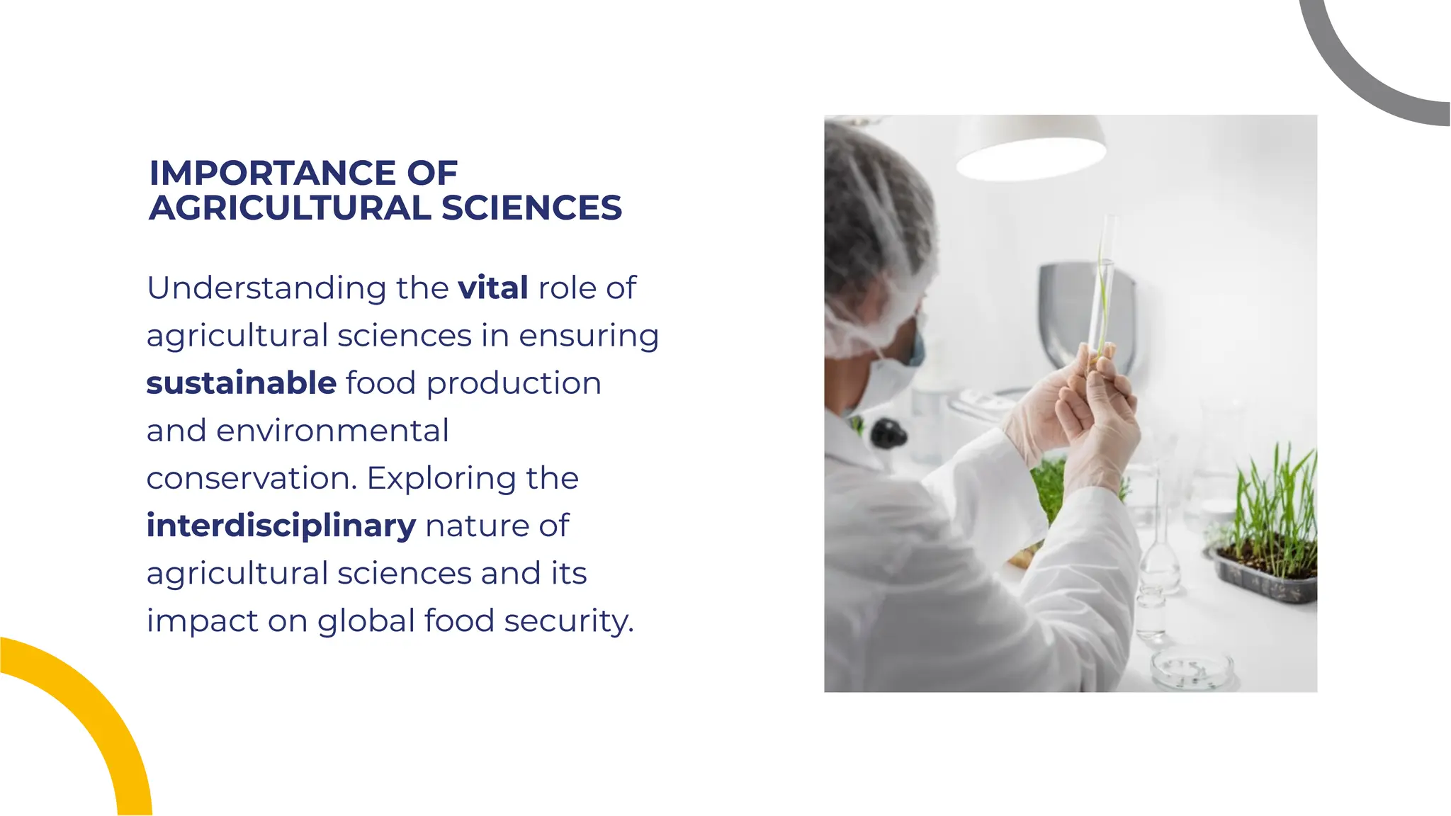 BSc Agriculture scope, career & importance | PDF