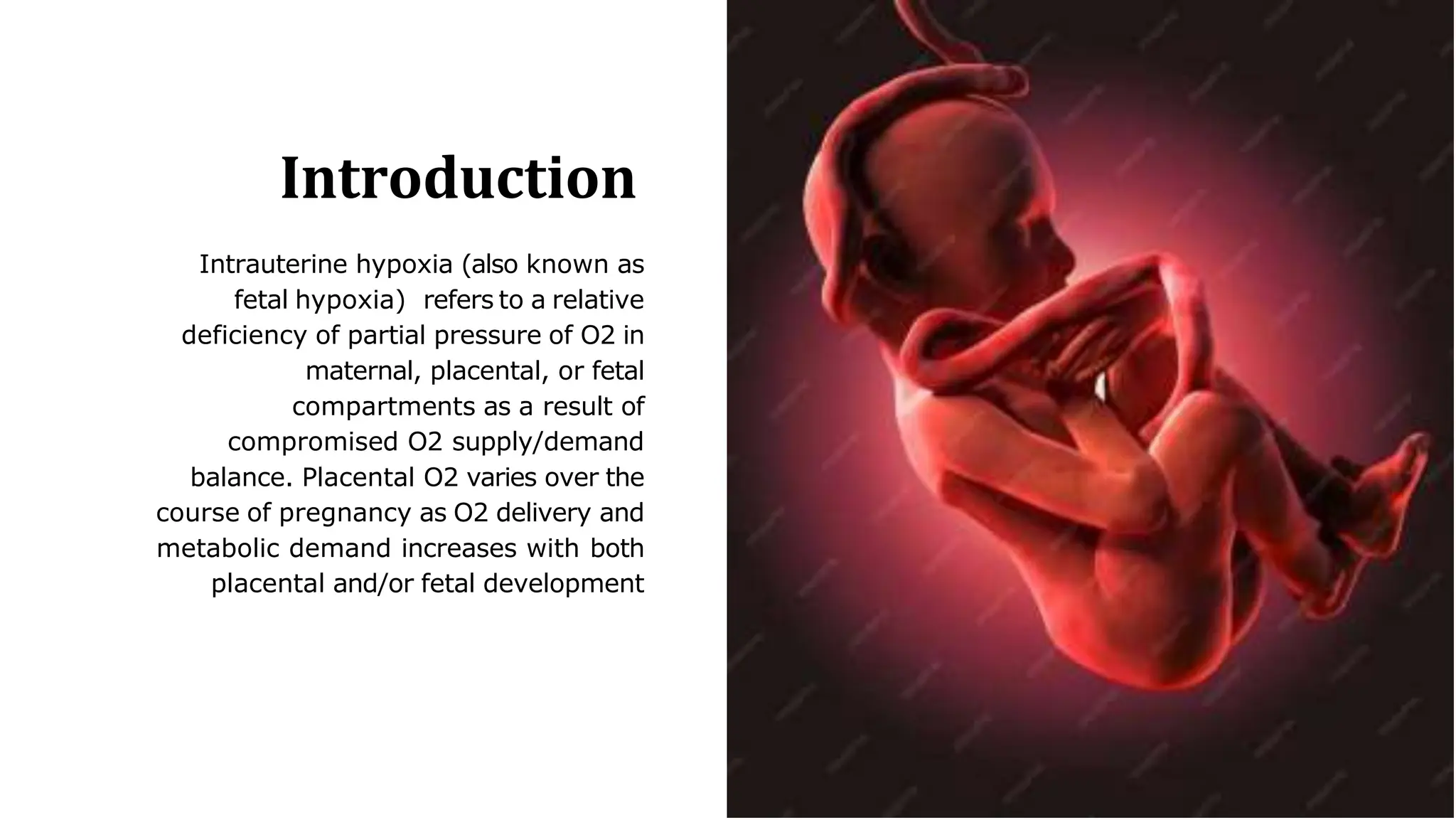 understanding-fetal-hypoxia-a-comprehensive-examination-of ...