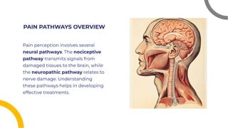 wepik-understanding-pain-perception-definitions-pathways-and-treatment ...