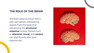 wepik-understanding-pain-perception-definitions-pathways-and-treatment ...