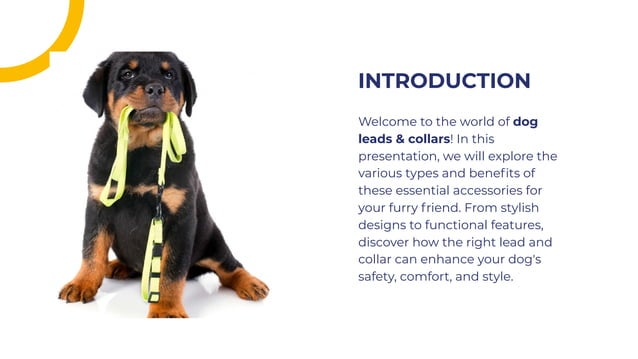 Dog Leads & Collars | PDF | Dogs | Pets