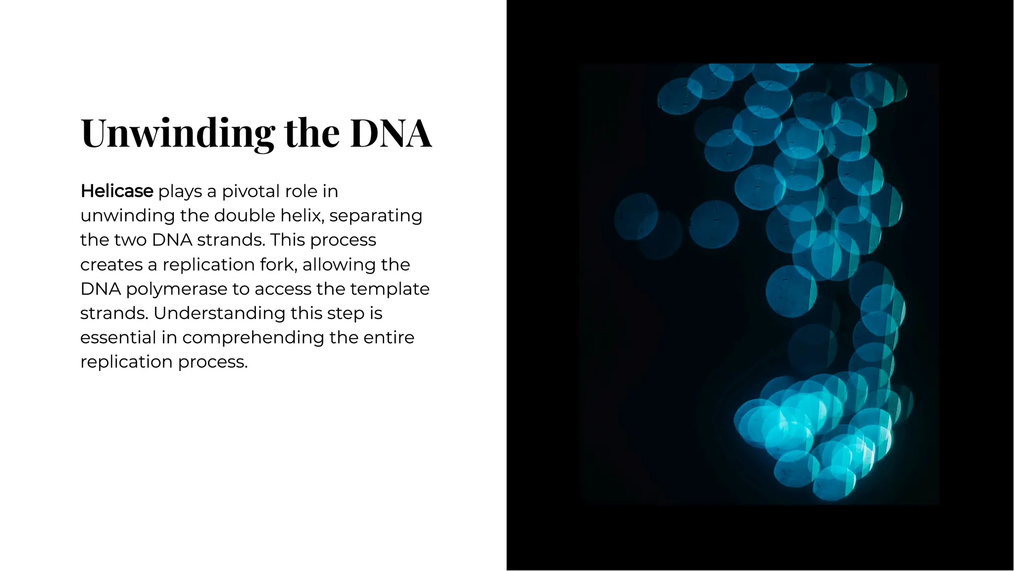 wepik-unraveling-the-code-a-comprehensive-overview-of-dna-replication-20240306100332WZ9u.pdf